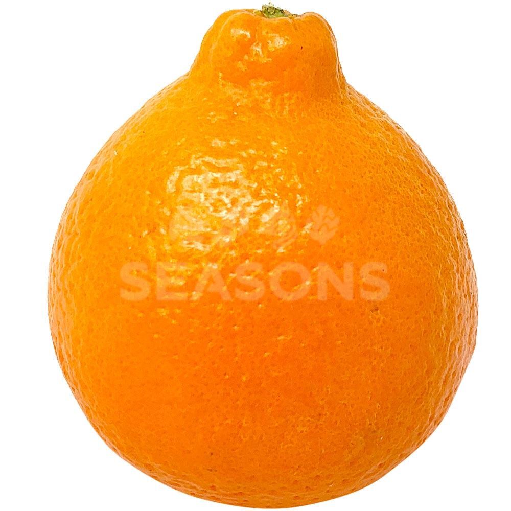 ORANGES MINIOLA TANGELO SeasonsKosher Online Kosher Grocery Shopping and Delivery Service